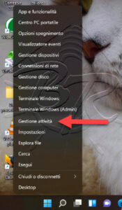 Tutti i modi per Aprire Gestione Attività in Windows 11 - BlogRaffo.net